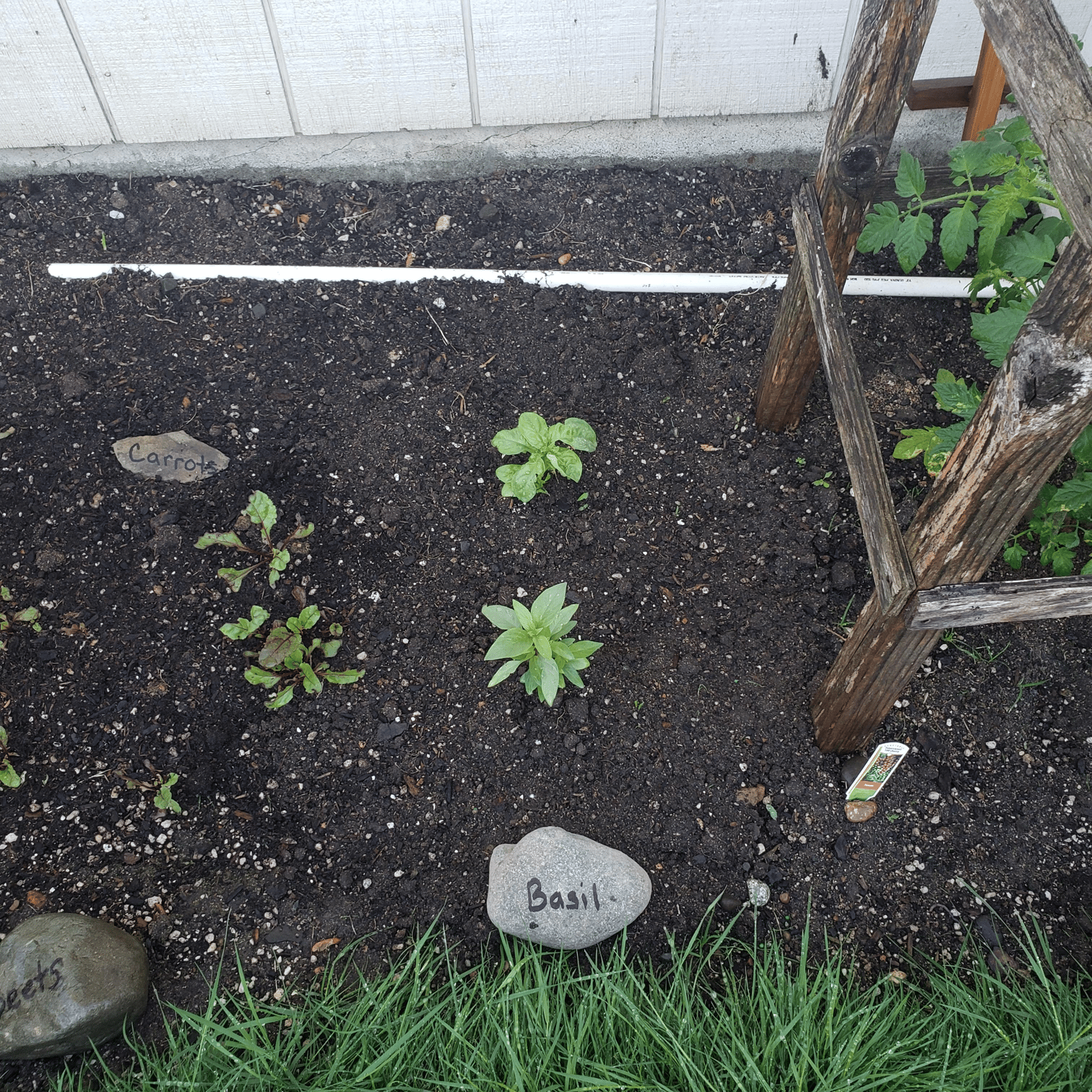 Photo Gallery | Josephine County Farm to School and Nutrition Education