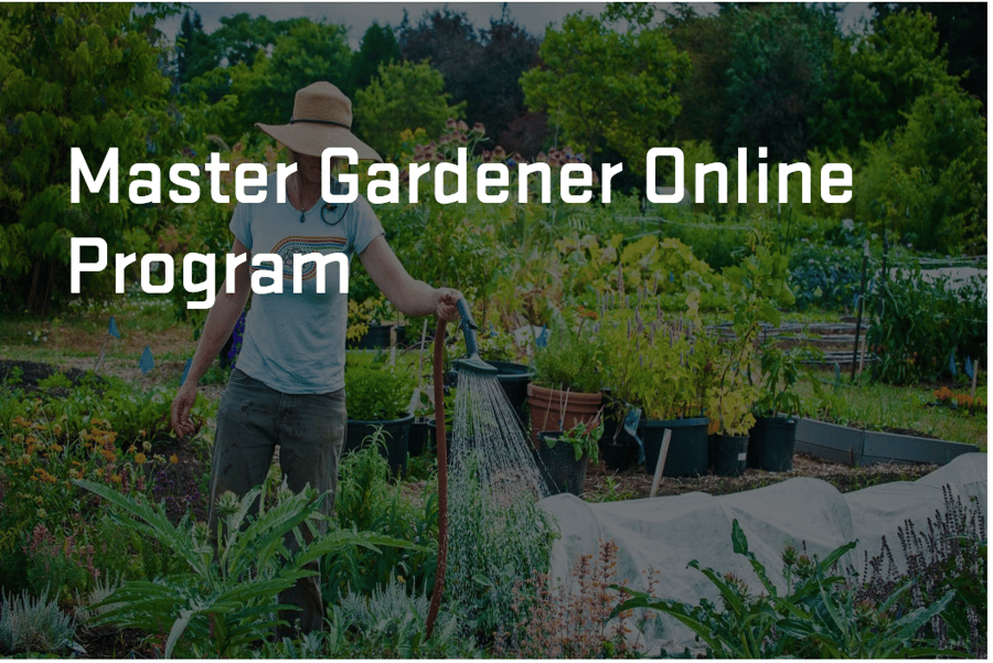 Gardening and Agriculture Online Programs | OSU Continuing Education