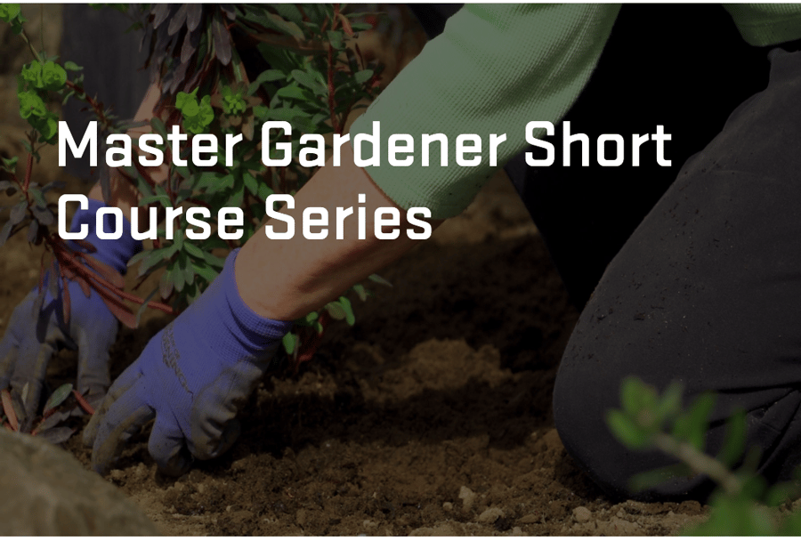 Gardening and Agriculture Online Programs | OSU Continuing Education