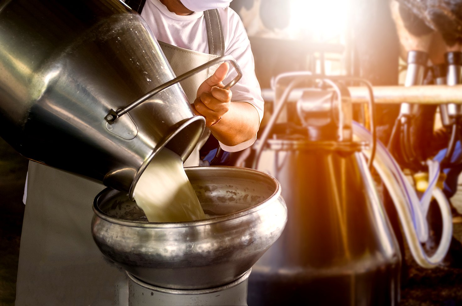 Dairy Foods Manufacturing Certificate and Continuing Education Series