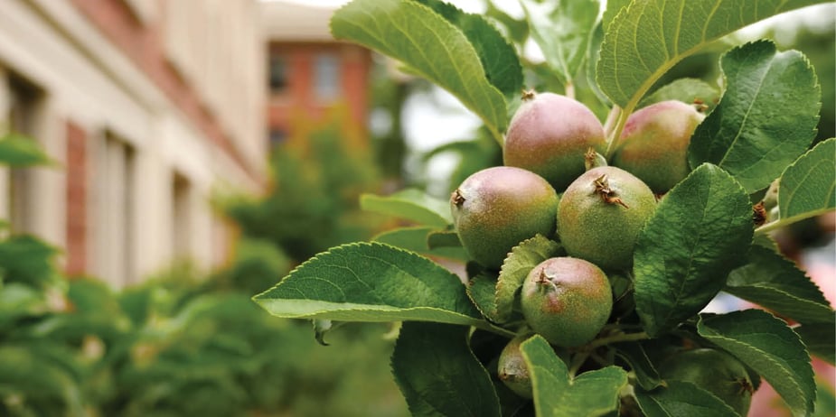 Permaculture Continuing Education at Oregon State University