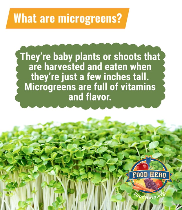 Growing Microgreens in the Classroom | Farm to School and Nutrition ...